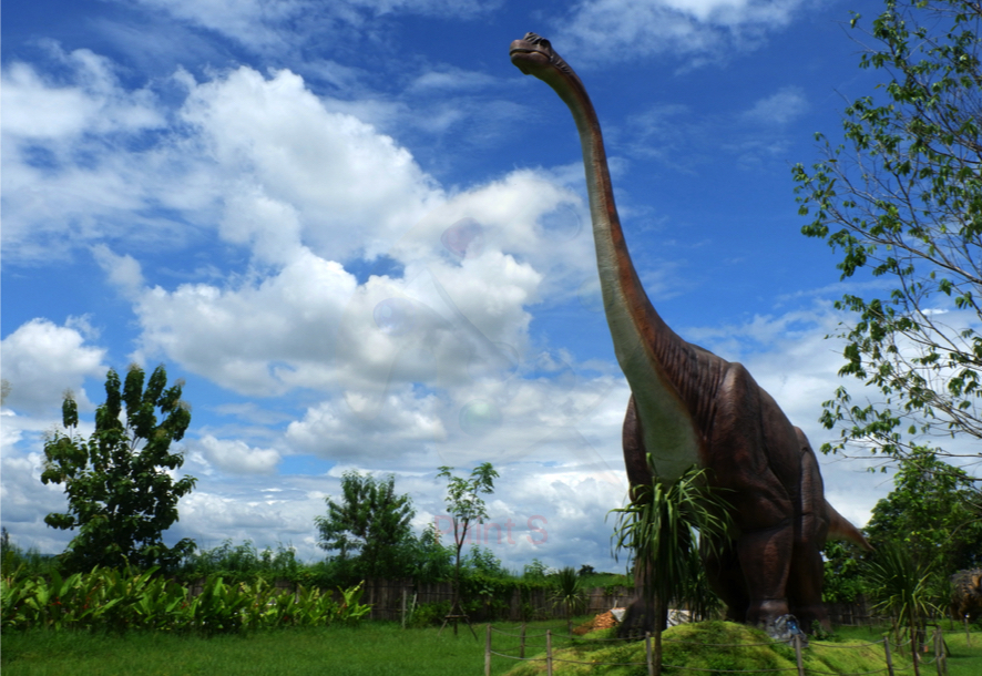 Aathal Dinosaur Museum: Fossils, Exhibitions & Workshops